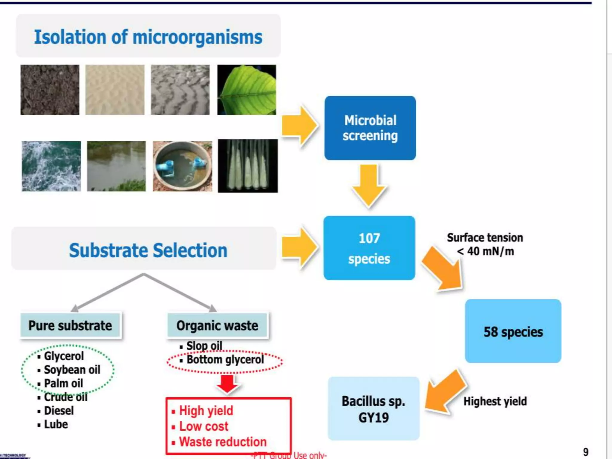 Importance of biosurfactant production in removal of oil | PPTX