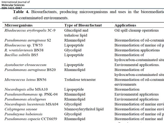 Importance of biosurfactant production in removal of oil | PPTX | Chemistry | Science