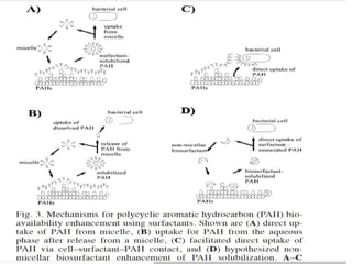 Importance of biosurfactant production in removal of oil | PPTX