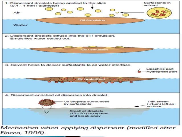 Importance of biosurfactant production in removal of oil | PPTX | Chemistry | Science