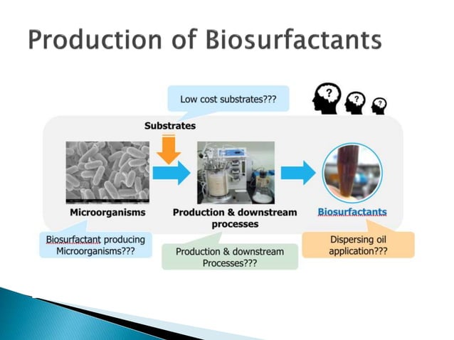 Importance of biosurfactant production in removal of oil | PPTX ...