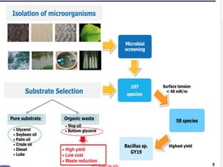 Importance of biosurfactant production in removal of oil | PPTX
