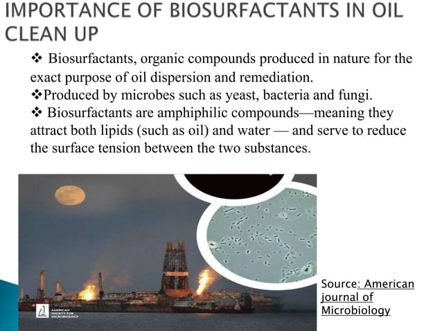 Importance of biosurfactant production in removal of oil | PPTX | Chemistry | Science