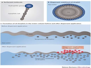 Importance of biosurfactant production in removal of oil | PPTX
