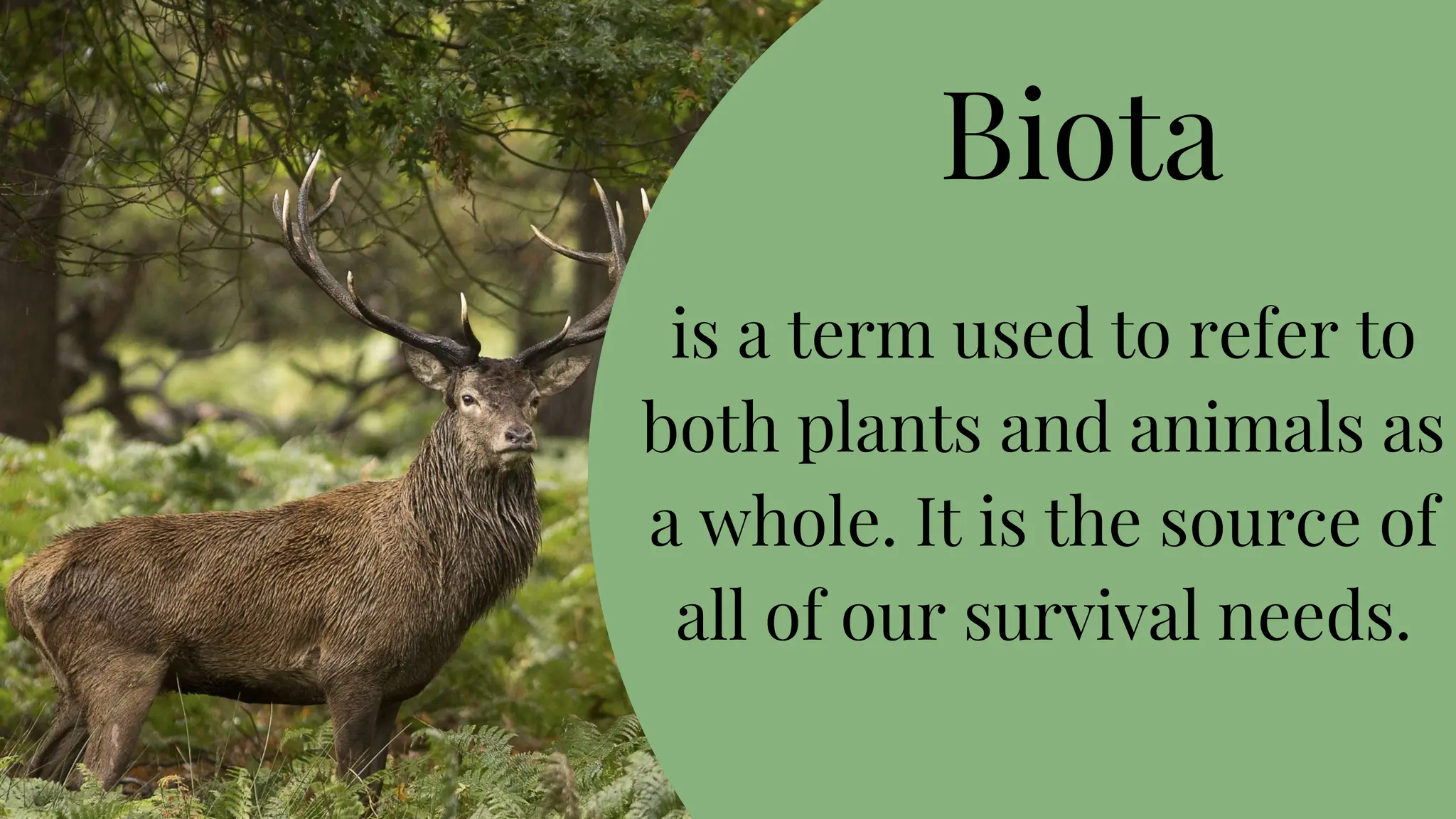 Importance Of Biota GRADE 7 PowertPoint.pptx