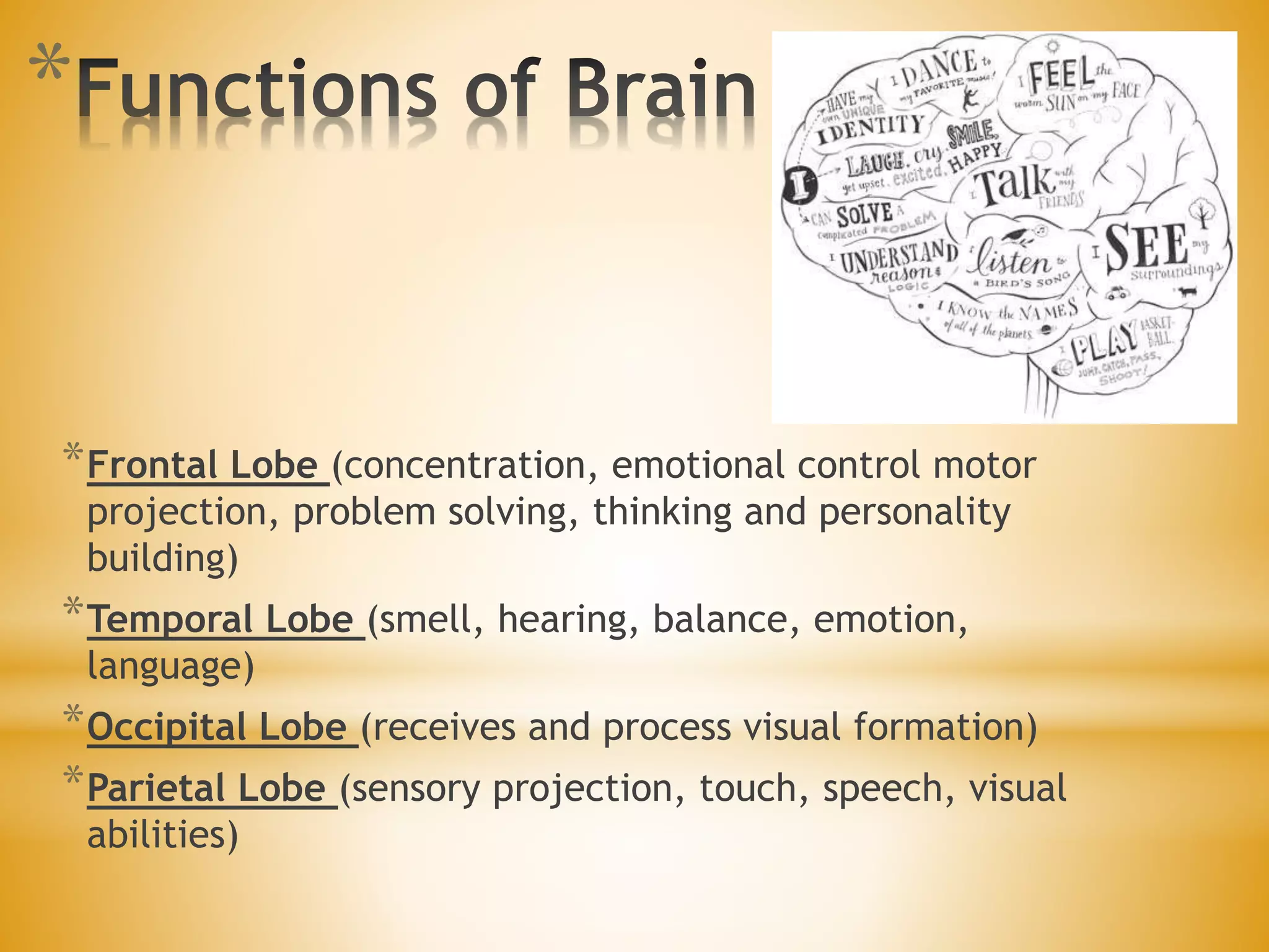 Importance of brain development for better tomorrow part 1 | PPTX