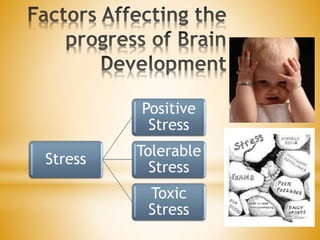 Importance of brain development for better tomorrow part 1 | PPTX