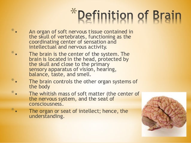 Importance of brain development for better tomorrow part 1