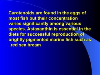 Importance of Broodstock feeding in aquaculture.ppt