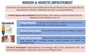 Importance of Buffalo Productivity in India | PDF