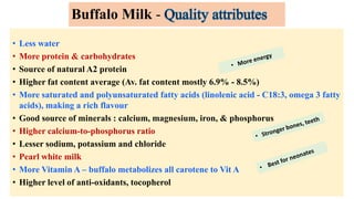 Importance of Buffalo Productivity in India | PDF