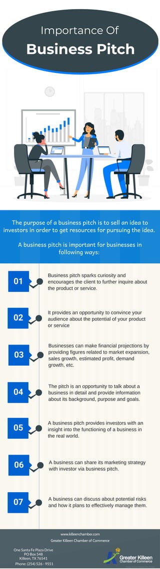 Importance Of Business Pitch | PDF