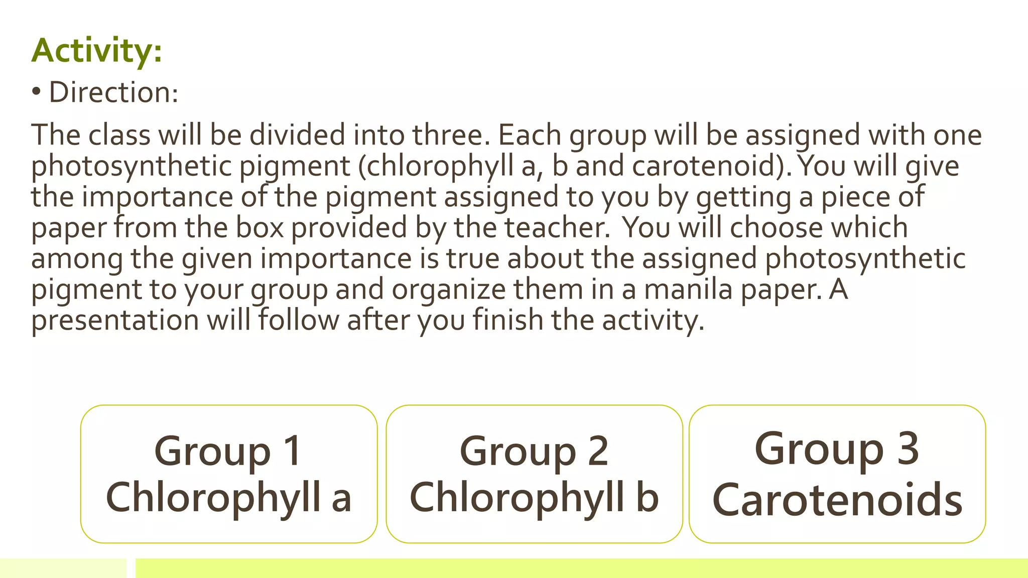 Importance of Chlorophyll and other pigments in photosynthesis.pptx
