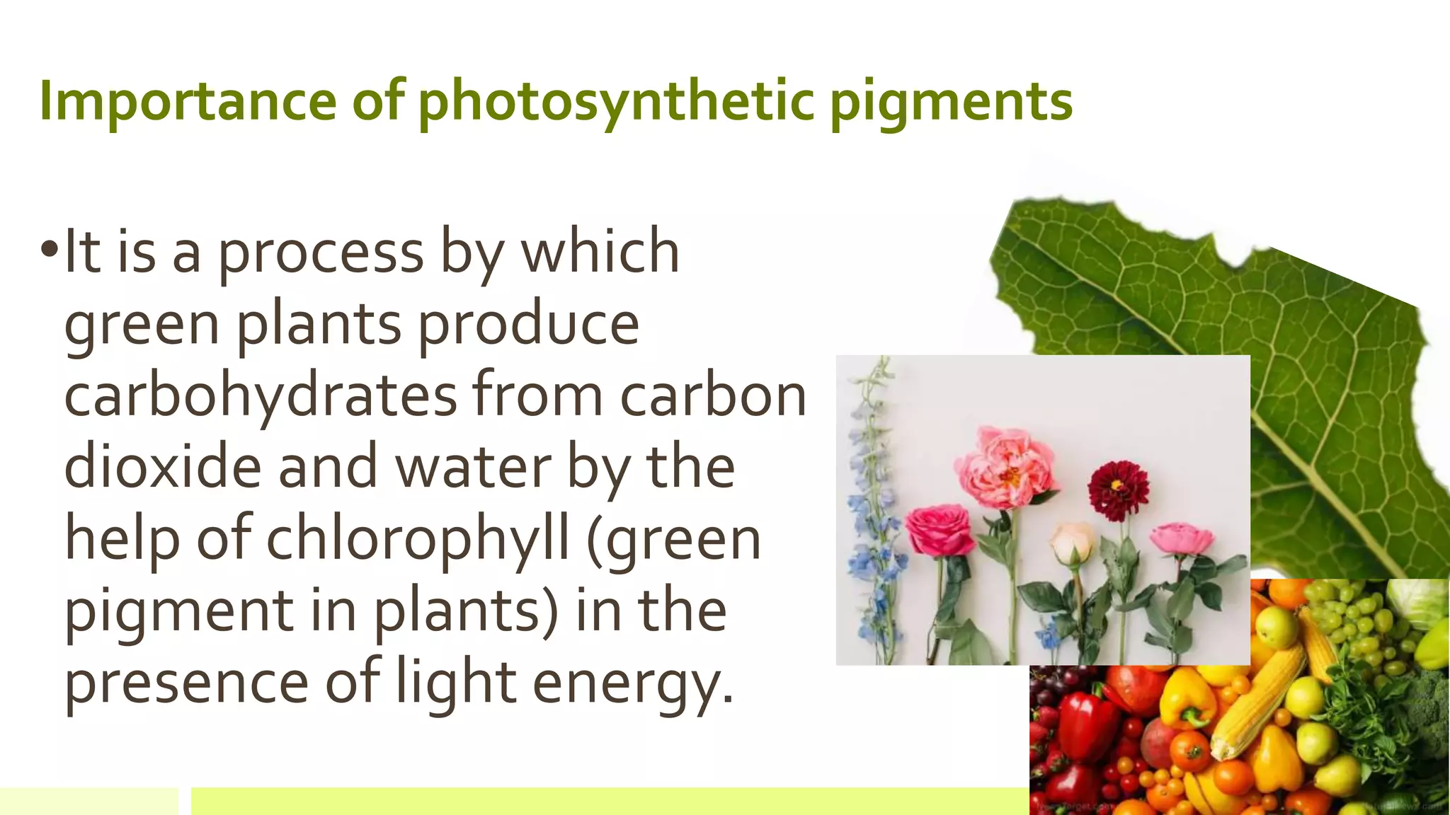 Importance of Chlorophyll and other pigments in photosynthesis.pptx