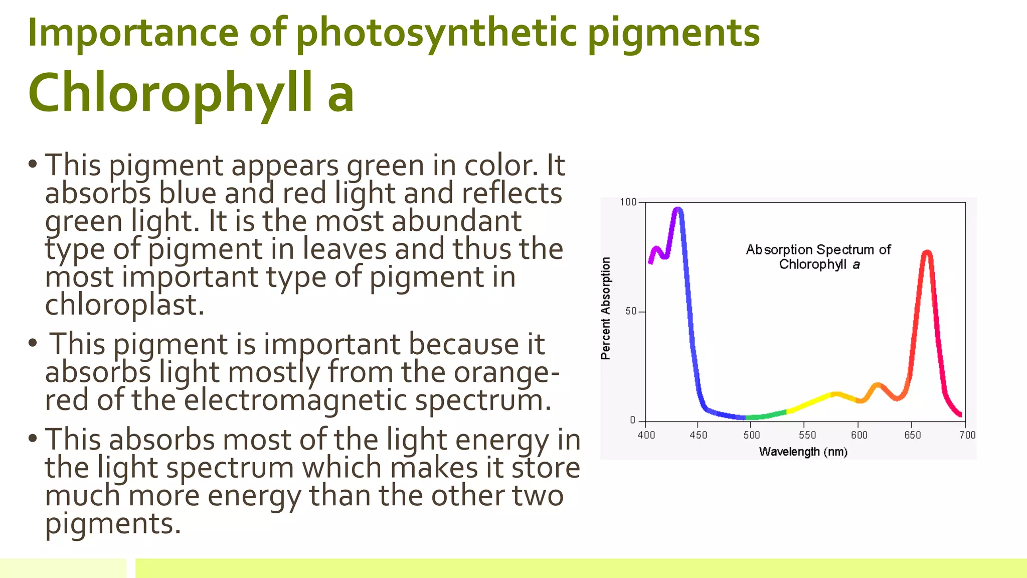 Importance of Chlorophyll and other pigments in photosynthesis.pptx