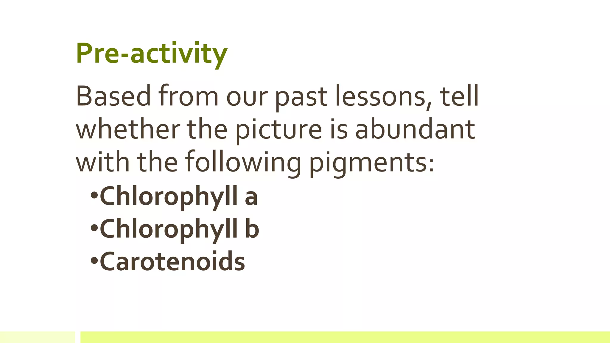 Importance of Chlorophyll and other pigments in photosynthesis.pptx