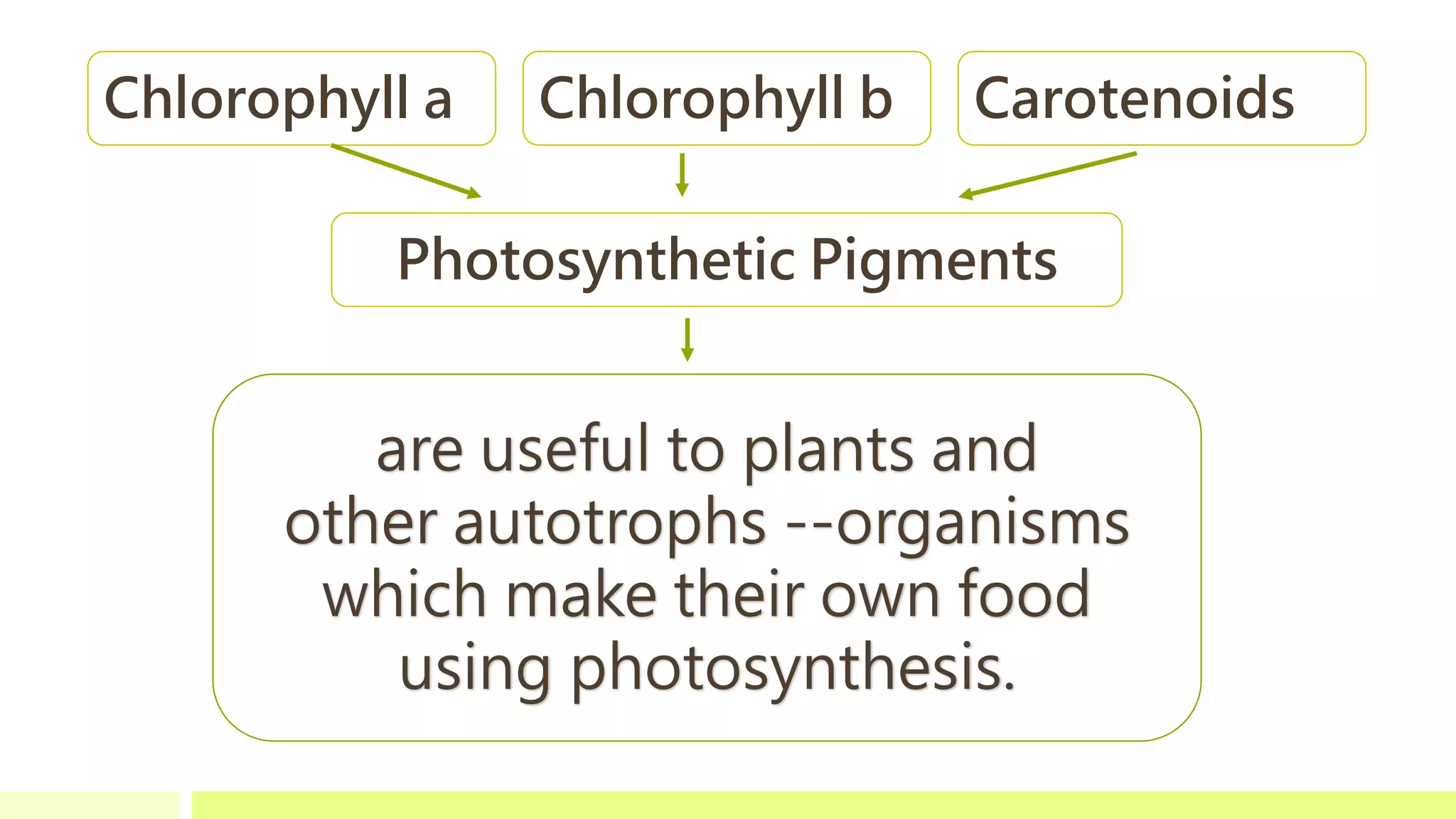 Importance of Chlorophyll and other pigments in photosynthesis.pptx