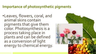 Importance of Chlorophyll and other pigments in photosynthesis.pptx