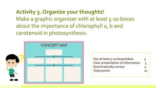 Importance of Chlorophyll and other pigments in photosynthesis.pptx