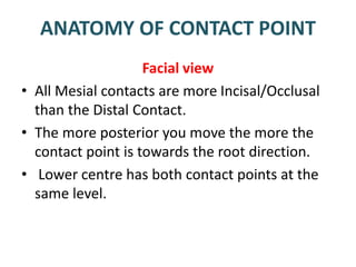 IMPORTANCE OF CONTACT POINT IN RESTORATION_104437.pptx