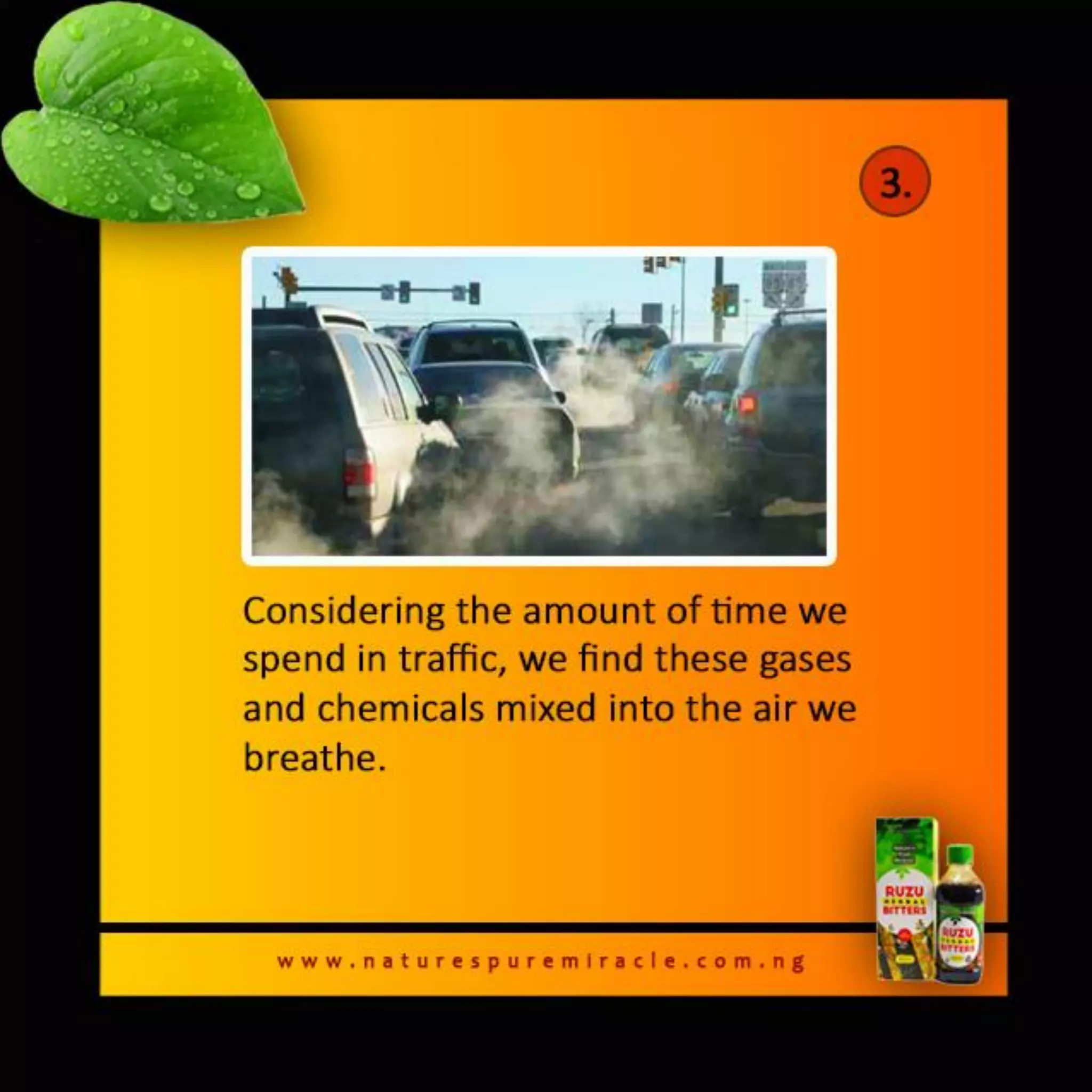 Importance of detox to the body | PDF