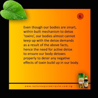 Importance of detox to the body | PDF