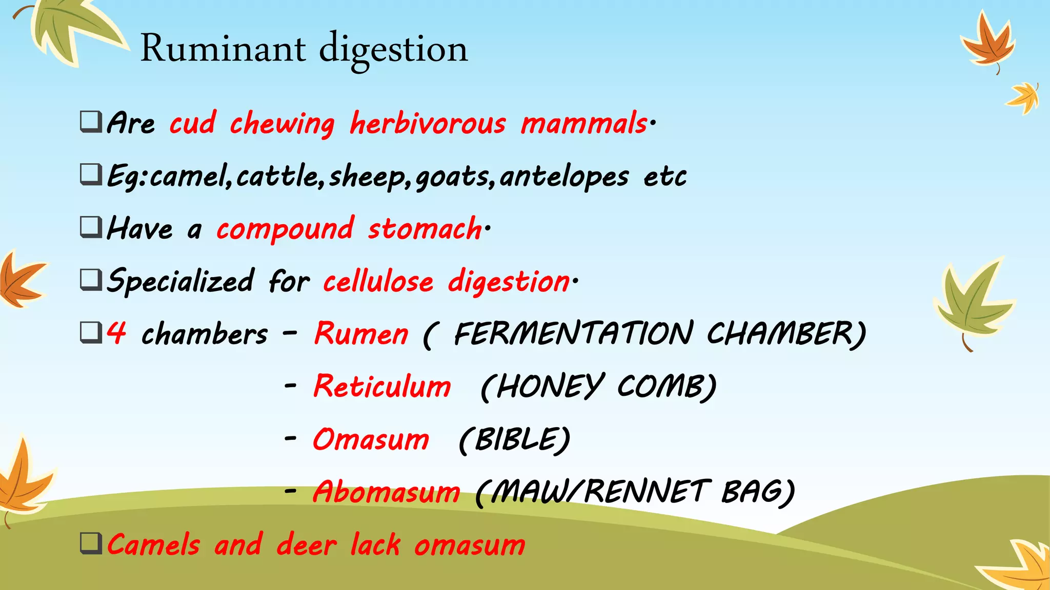 Importance of dietary fibers & ruminant digestion | PPTX | Digestive ...