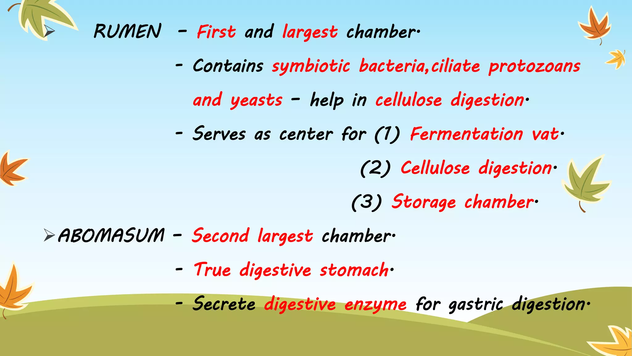 Importance of dietary fibers & ruminant digestion | PPTX | Digestive ...