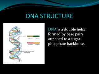 Importance of dna s | PPT