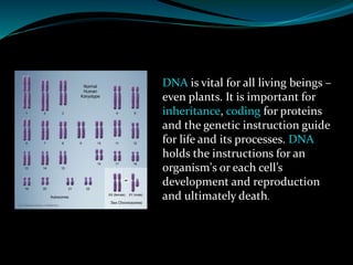 Importance of dna s | PPTX