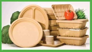 Importance of eco friendly food packaging | PPTX