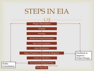 Environmental Impact Assessment (EIA) in Project Management | PDF