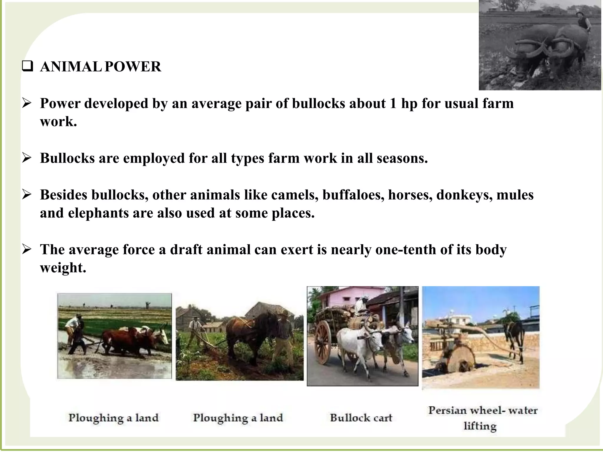 Importance of farm machineries and power.pdf
