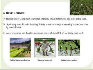 Importance of farm machineries and power.pdf | Agriculture | Industries