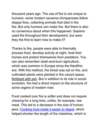 Importance Of Fire.pdf