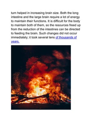 Importance Of Fire.pdf