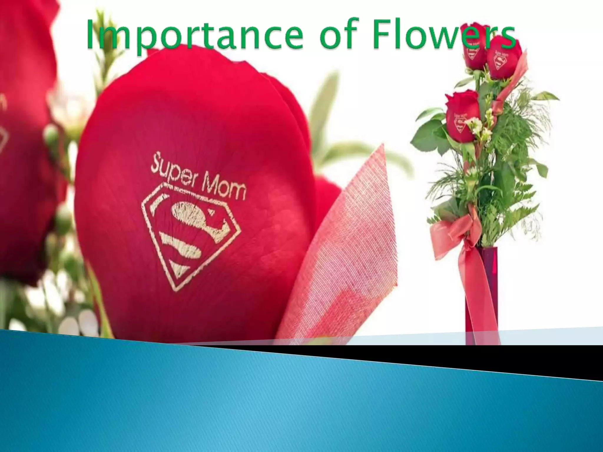 Importance of Flowers – Speaking Roses | PPTX