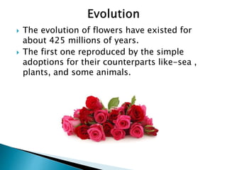 Importance of Flowers – Speaking Roses | PPTX