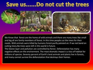 Importance of forest | PPTX