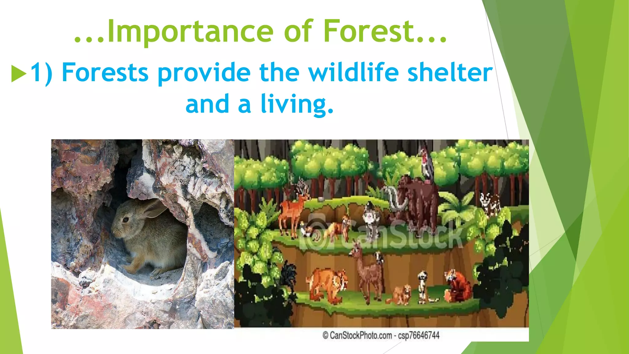 Importance of forest PPT by Shivraj Misal-9766649966.pdf