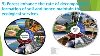 Importance of forest PPT by Shivraj Misal-9766649966.pdf