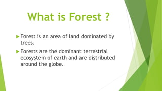 Importance of forest PPT by Shivraj Misal-9766649966.pdf