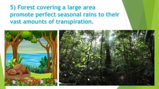Importance of forest PPT by Shivraj Misal-9766649966.pdf