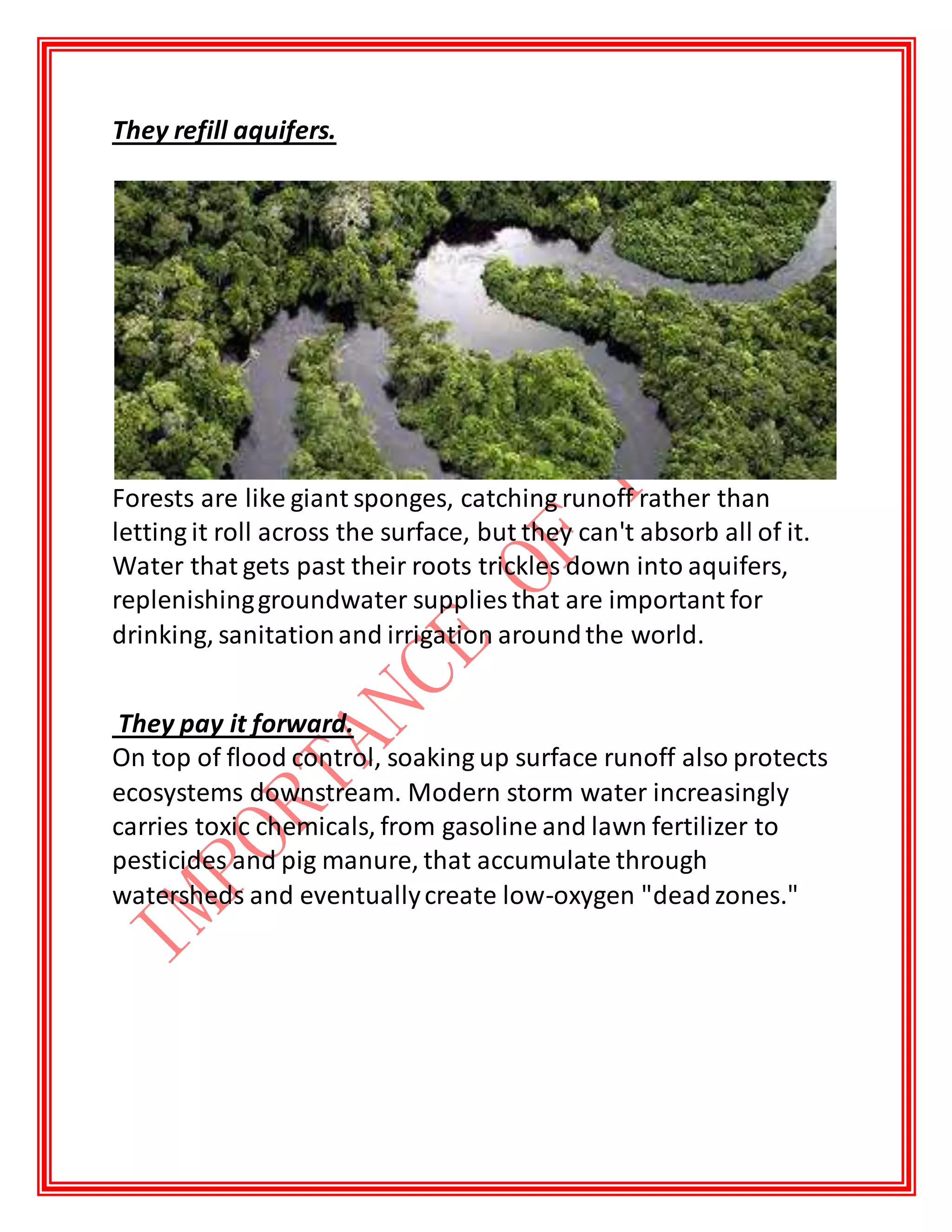 Importance of forest | DOCX