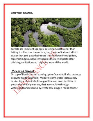 Importance of forest | DOCX