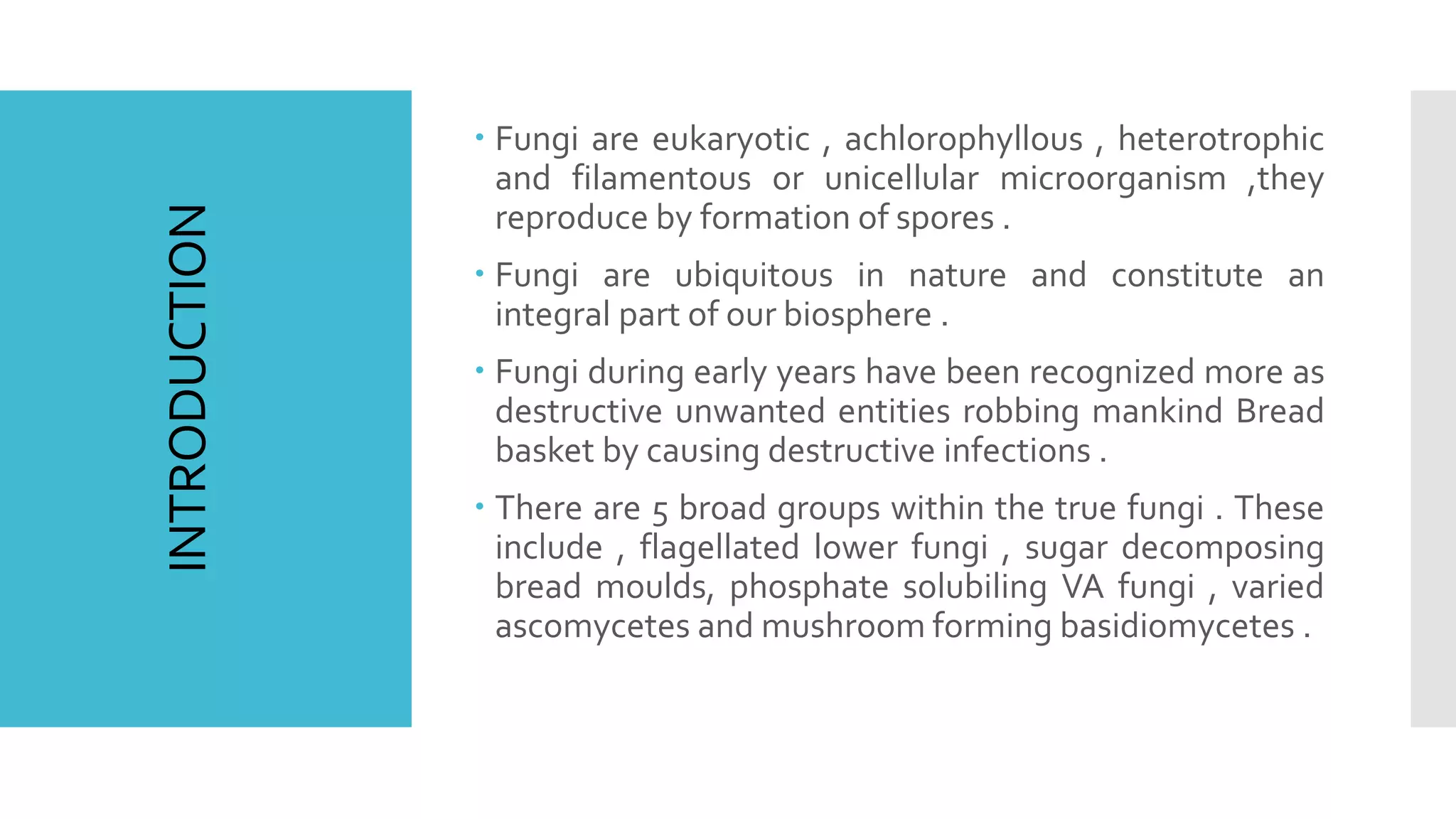 Economic Importance of fungi | PPTX