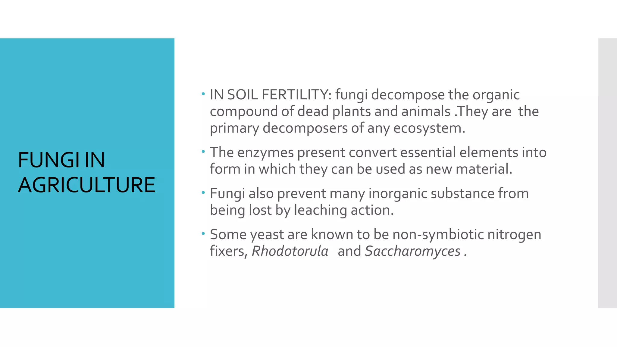 Economic Importance of fungi | PPTX