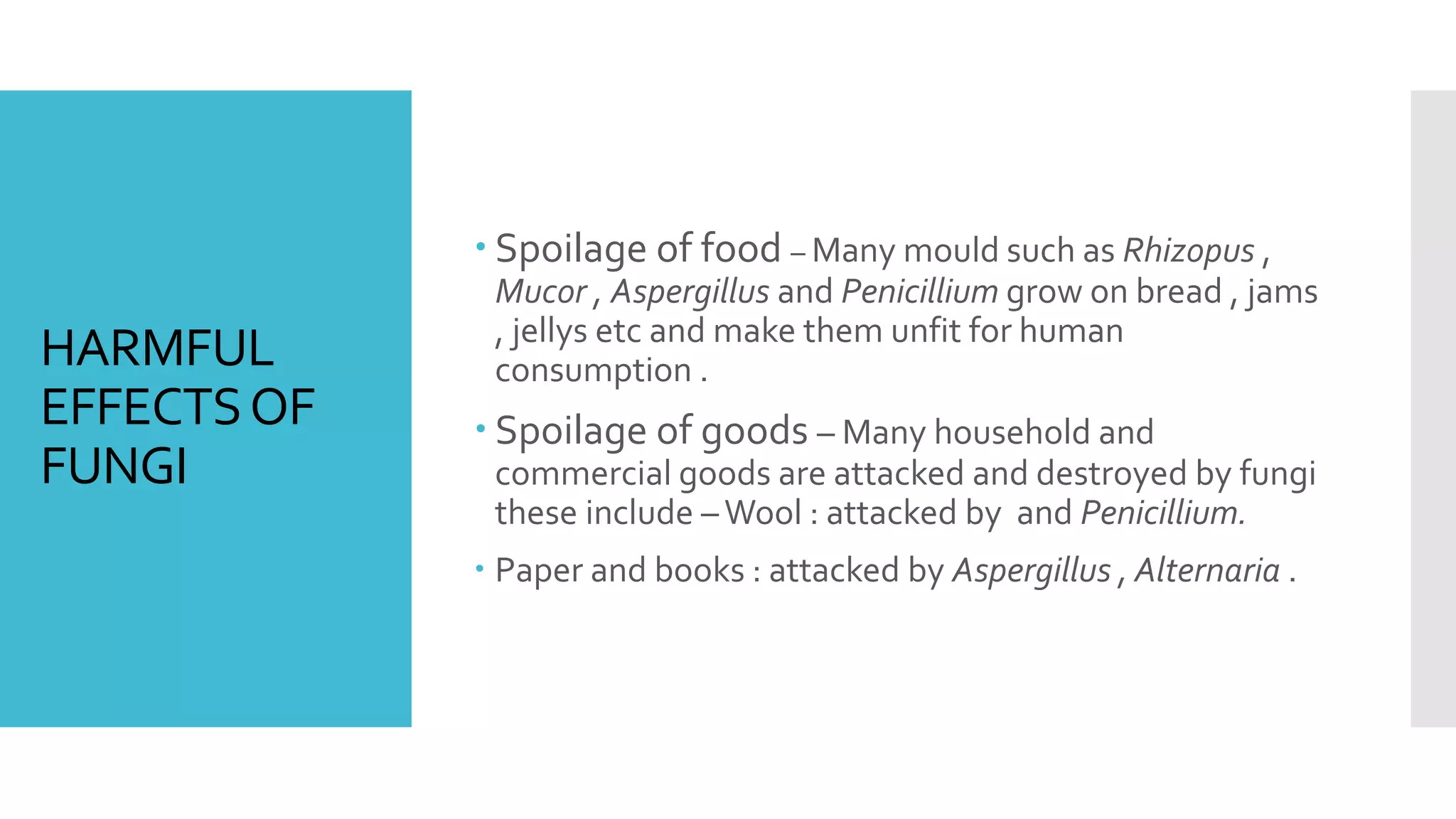 Economic Importance of fungi | PPTX