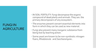 Economic Importance of fungi | PPTX