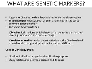 Importance of Genetic Markers in Forensics | PPTX